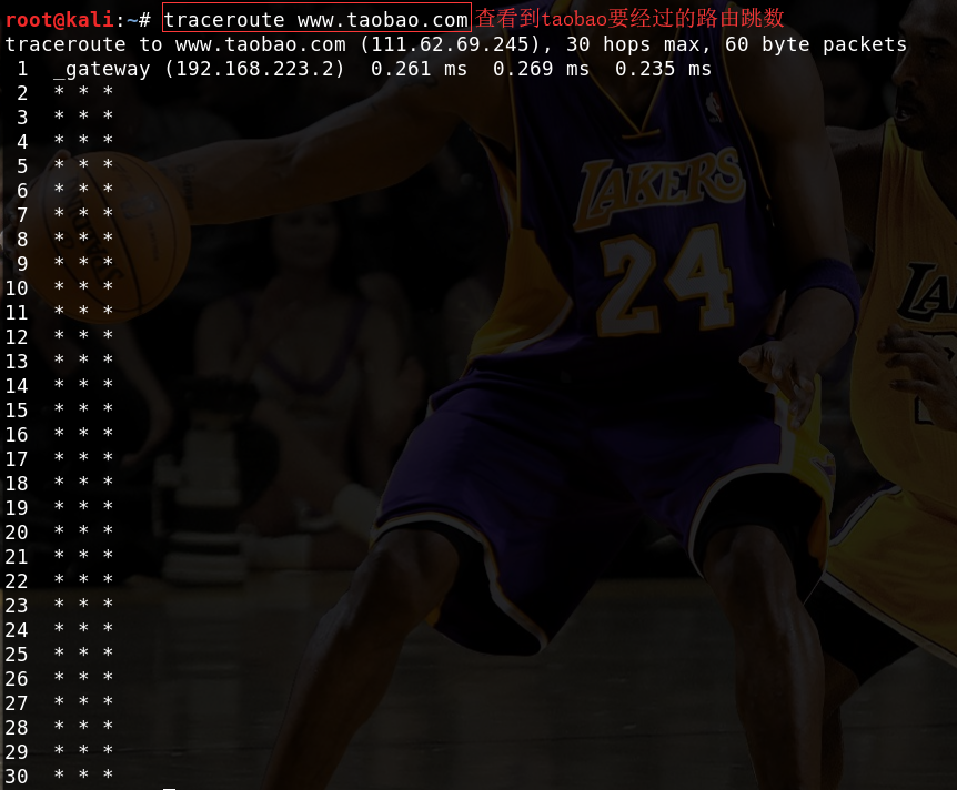 渗透测试技术----主动信息收集(二)--三层发现(ping、traceroute、fping、hping3、scapy)_fping工作原理-CSDN博客