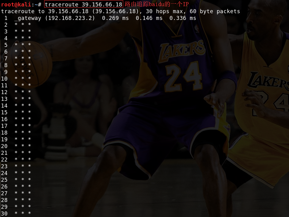 渗透测试技术----主动信息收集(二)--三层发现(ping、traceroute、fping、hping3、scapy)_fping工作原理 ...