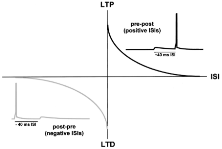 脉冲神经网络2: SNN的仿真介绍_snn速率编码_IC_DESIGNER_XZK的博客-CSDN博客