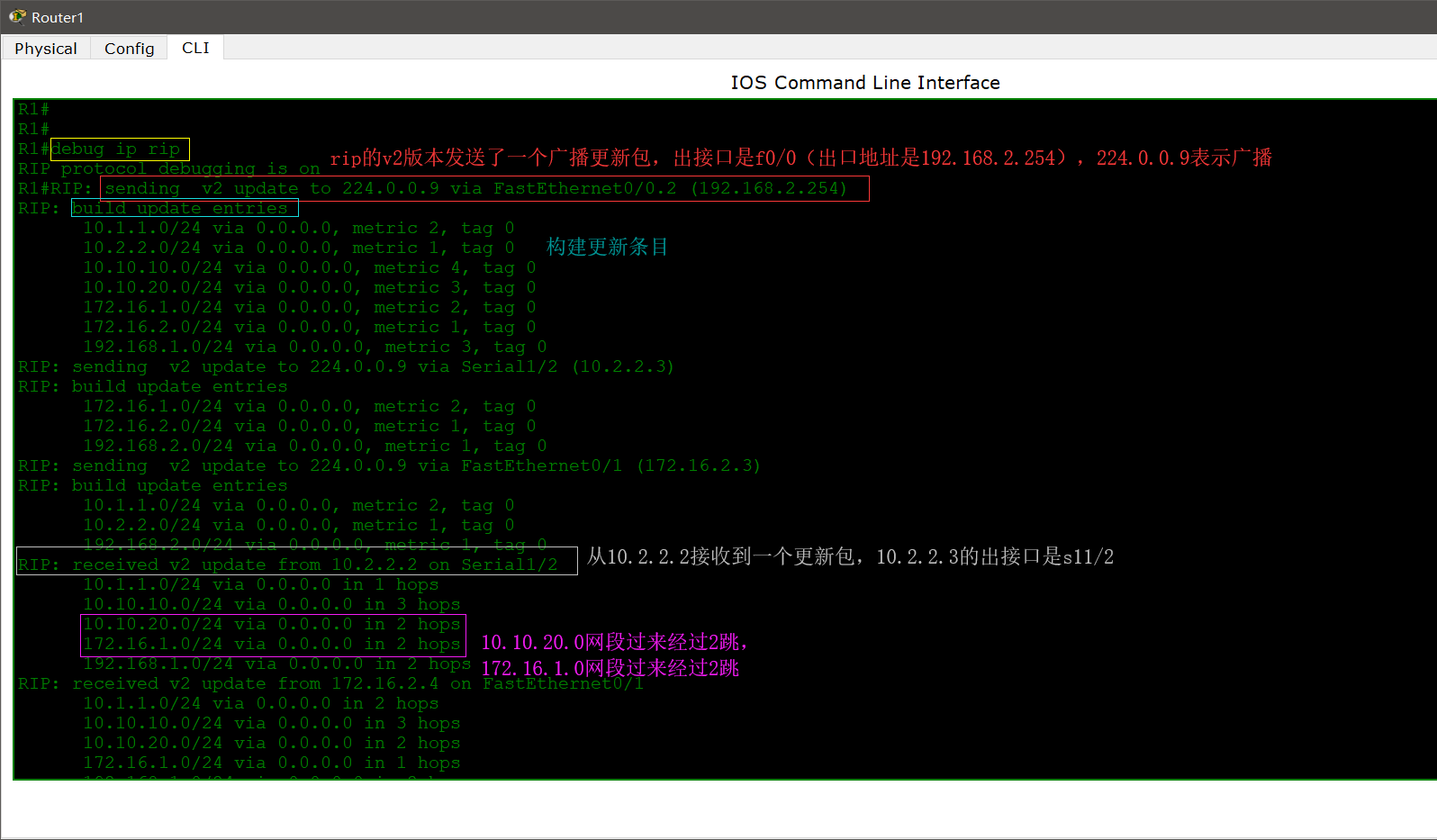 Cisco Packet Tracer（动态路由协议-RIP）_cisco packet tracer动态ip怎么打-CSDN博客
