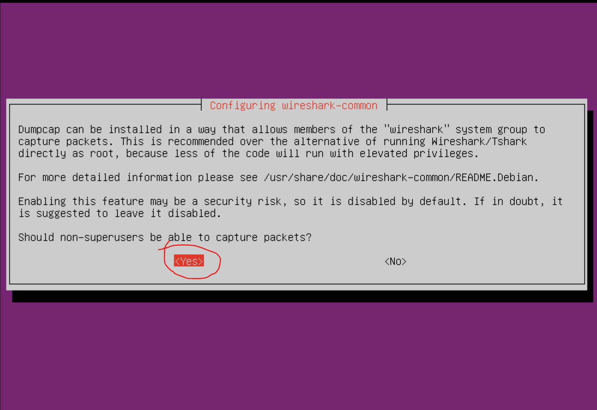 Ubuntu 18.04 Server 安装Wireshark，在win10上显示wireshark_wireshark.deb ubuntu-CSDN博客