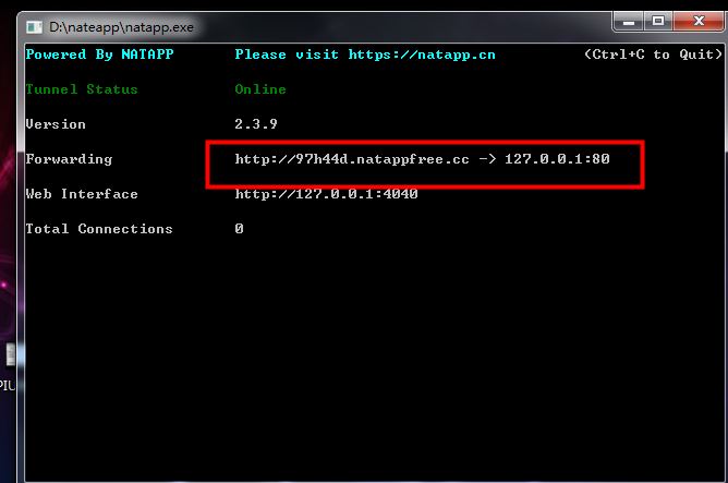 讲本地服务器http://127.0.0.1转化成域名的形式，能让所有人都可以访问-CSDN博客