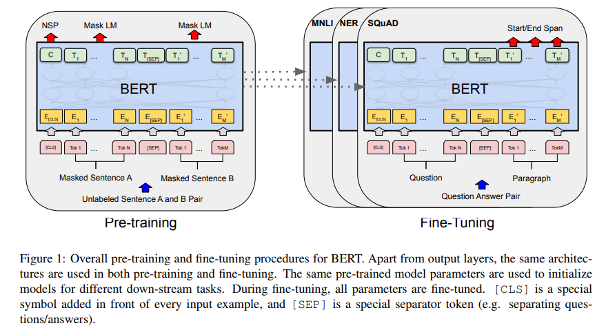 BERT语言模型_bert模型 开发语言-CSDN博客