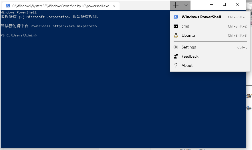 Windows terminal安装_windows terminal 怎么看版本-CSDN博客