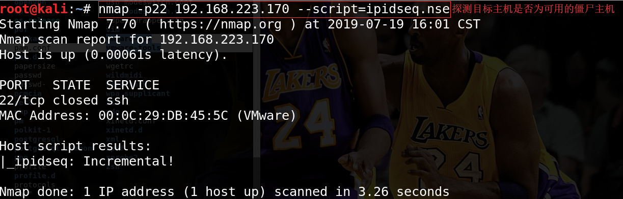 渗透测试技术----工具使用(一)--nmap(masscan结合nmap使用)_masscan to nmap-CSDN博客