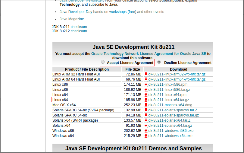（一）Linux下破解安装IDEA并安装配置JDK_linux without jbr-CSDN博客