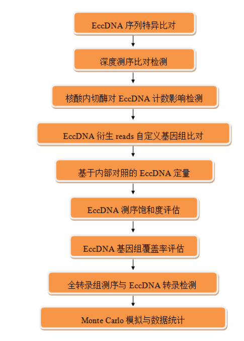 eccdna的研究-CSDN博客