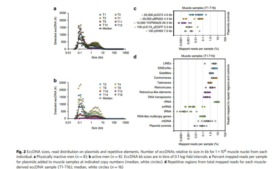 eccdna的研究-CSDN博客