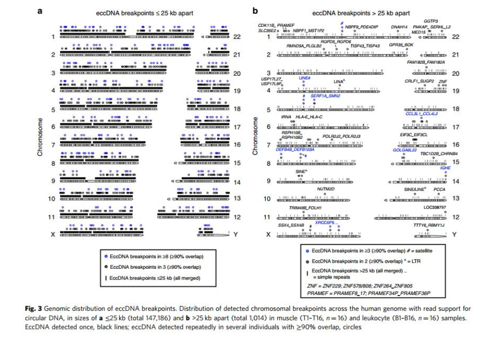 eccdna的研究-CSDN博客