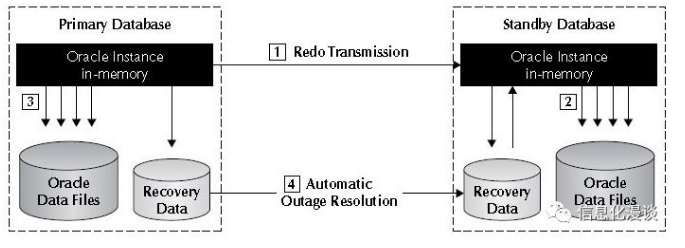 Oracle之ADG与DG的区别？_oracle adg与dg区别-CSDN博客