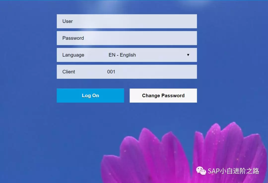 SAP 配置Fiori Launchpad_sap 进入launchpad 页面-CSDN博客