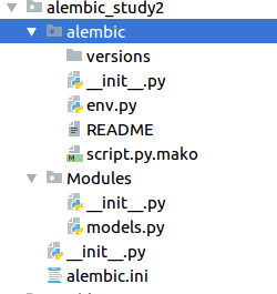 Python使用Alembic框架进行数据库版本管理_alembic version-CSDN博客