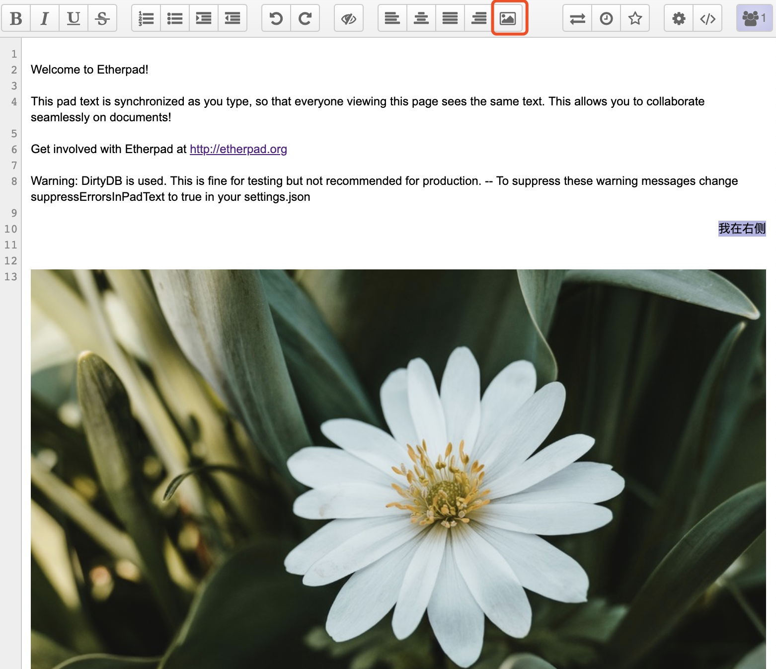 在线协作编辑器EtherPad使用说明_etherpad 二次开发-CSDN博客