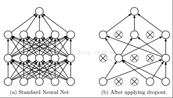 Alexnet网络学习_alexnet可以预测几类目标-CSDN博客