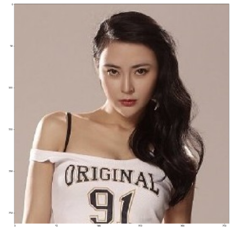 HOG特征使用OPENCV提取梯度幅度和方向的实现，主要是可视化理解_python opencv hog 特征可视化-CSDN博客