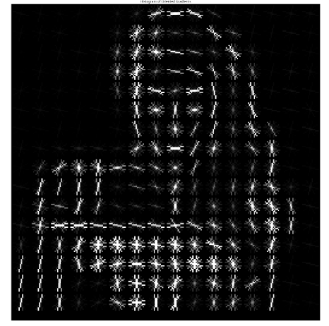 HOG特征使用OPENCV提取梯度幅度和方向的实现，主要是可视化理解_python opencv hog 特征可视化-CSDN博客