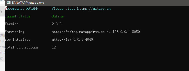 将内网IP映射成对外可访问的域名——NATAPP使用教程_域名映射natapp-CSDN博客