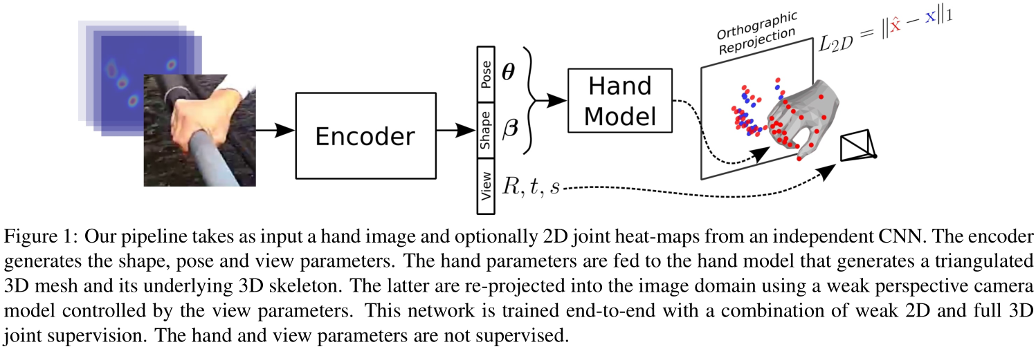 【论文笔记】(CVPR2019)3D Hand Shape and Pose from Images in the Wild_3d hand ...