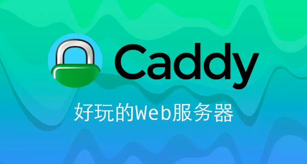 Caddy - Web服务器的新秀 高性能 配置简单 动态代理 负载均衡_caddy怎么设置超时响应时间-CSDN博客
