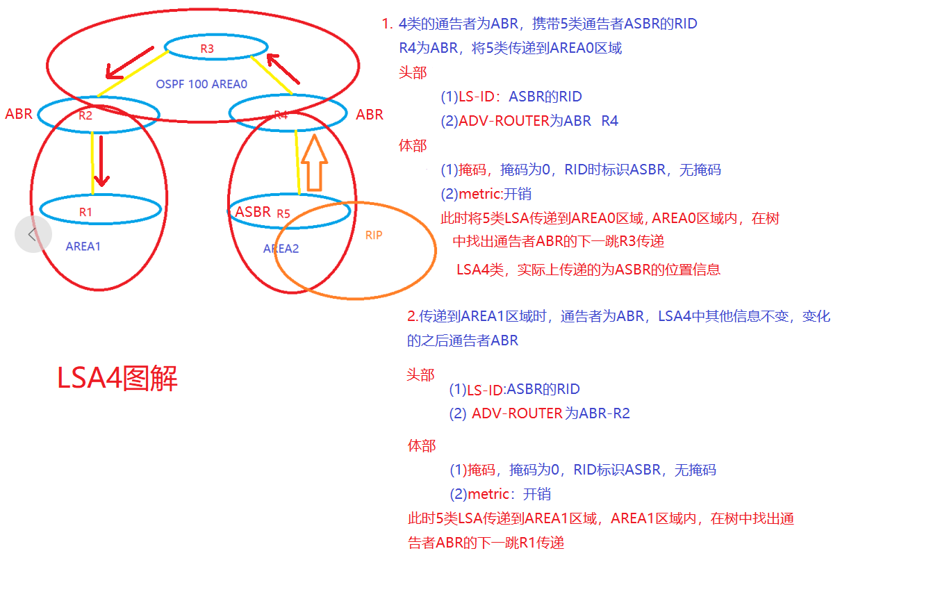 OSPF LSA详解_ospf域外lsa传递过程详解-CSDN博客