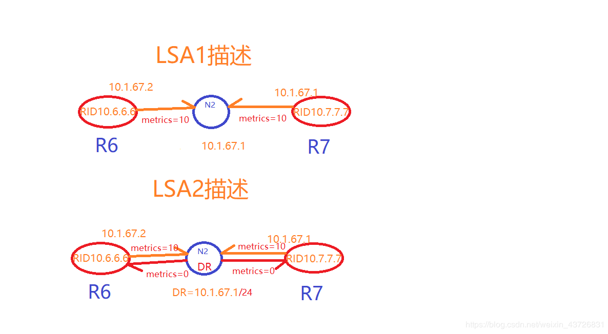 OSPF LSA详解_ospf域外lsa传递过程详解-CSDN博客
