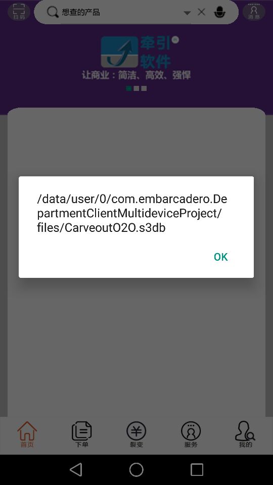 手机路径、Windows路径知识及delphiXE跨设备APP自动下载和升级_tpath.getpublicpath-CSDN博客