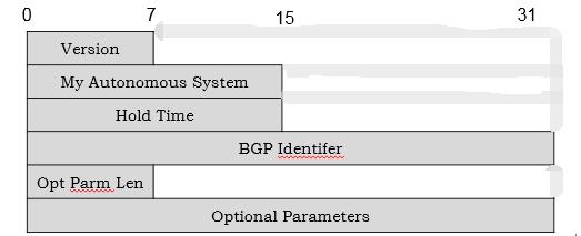 动态路由协议BGP介绍_afi safi-CSDN博客