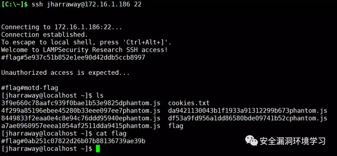 Hack the LAMPSecurity: CTF8 (CTF Challenge)-CSDN博客