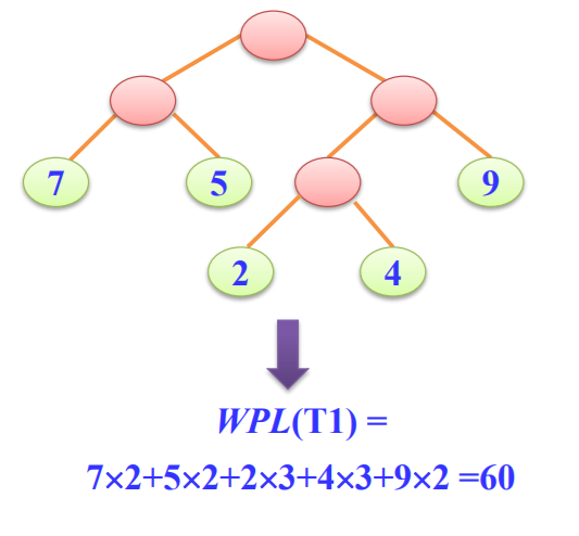 哈夫曼树-赫夫曼树-霍夫曼树（Huffman Tree）原理及应用与代码_为什么00 100 101 110 111不是哈夫曼编码-CSDN博客