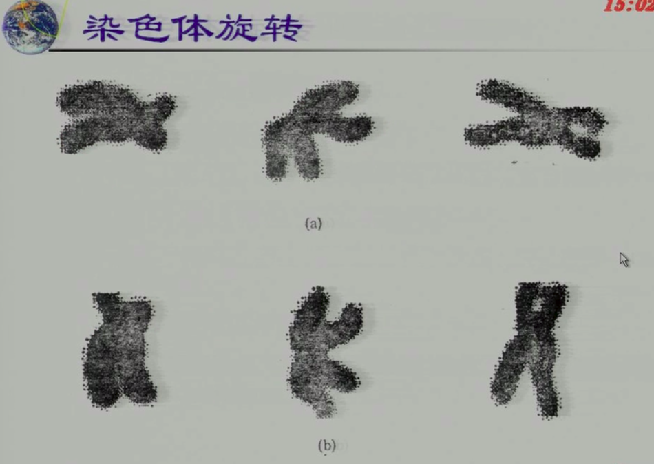 数字图像处理，图像的频域变换（四）——K-L变换详解 以及 哈尔变换Haar简介-CSDN博客