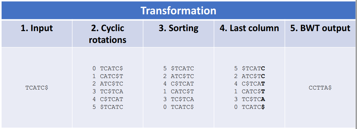 BWT算法原理解读-CSDN博客