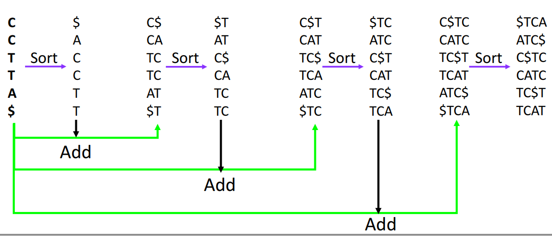 BWT算法原理解读-CSDN博客