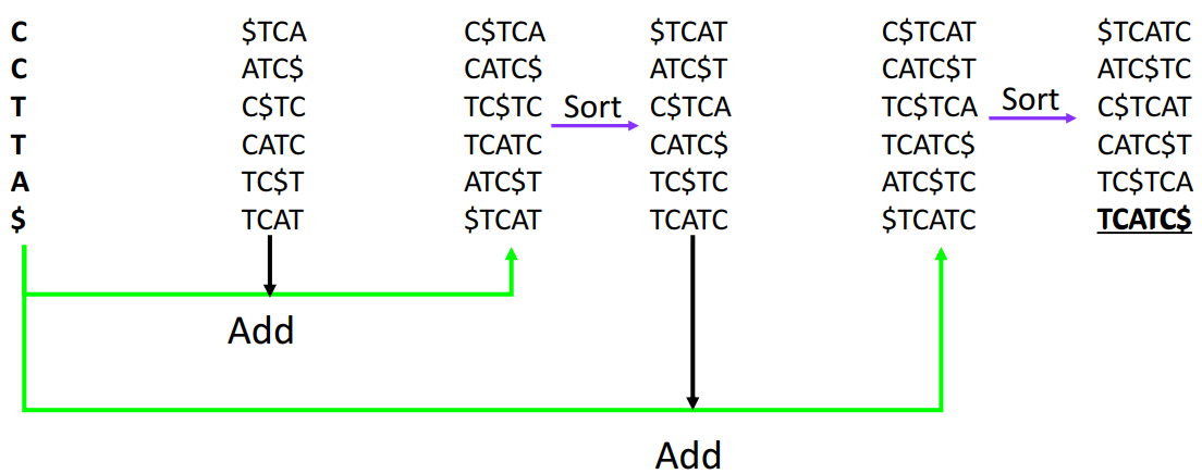 BWT算法原理解读-CSDN博客