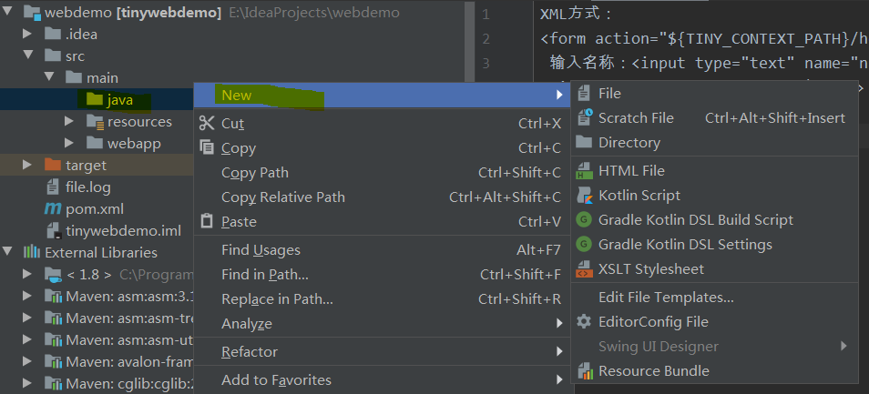 IntelliJ IDEA入门（一）无法新建JavaClass和Package解决办法_java a右键无法创建java package-CSDN博客