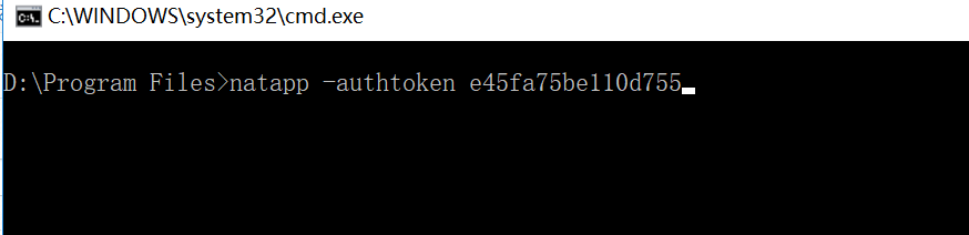 外网穿透-natapp安装配置(windows)_window下natapp配置说明-CSDN博客