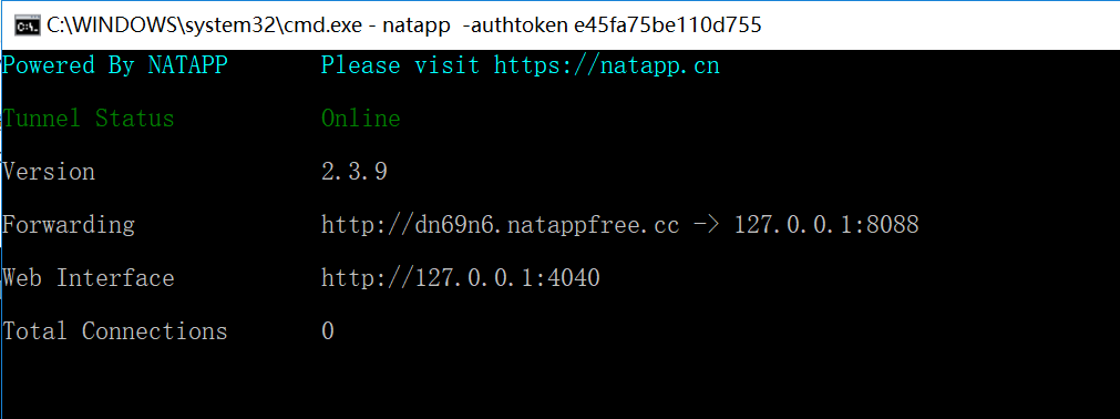 外网穿透-natapp安装配置(windows)_window下natapp配置说明-CSDN博客