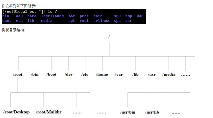 linux系统目录结构_linux 代表当前文件夹-CSDN博客