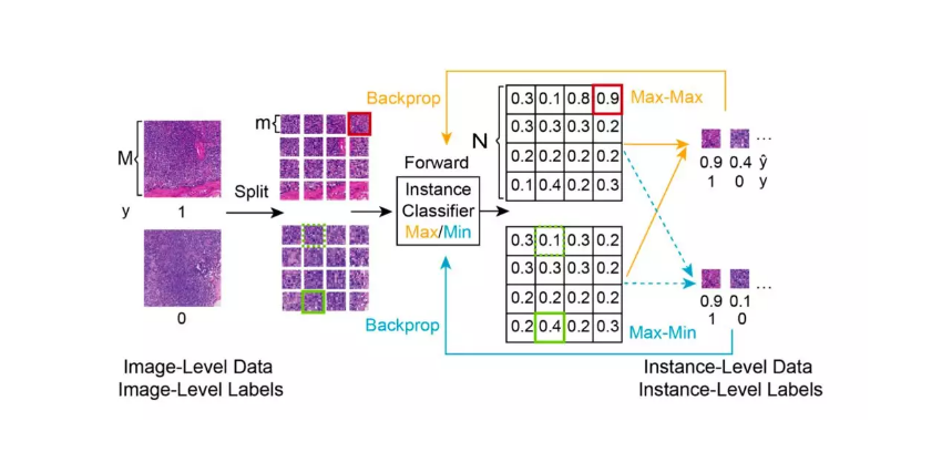 CAMEL: A Weakly Supervised Learning Framework for Histopathology Image Segmentation-CSDN博客