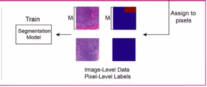 CAMEL: A Weakly Supervised Learning Framework for Histopathology Image Segmentation-CSDN博客