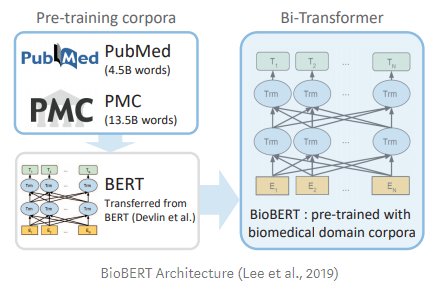 Some examples of applying BERT in specific domain【Applying BERT in specific domain】_bert example ...