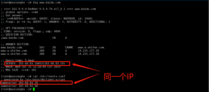 dig命令详解_dig ttl不变-CSDN博客