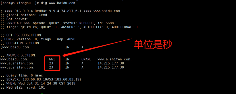 dig命令详解_dig ttl不变-CSDN博客