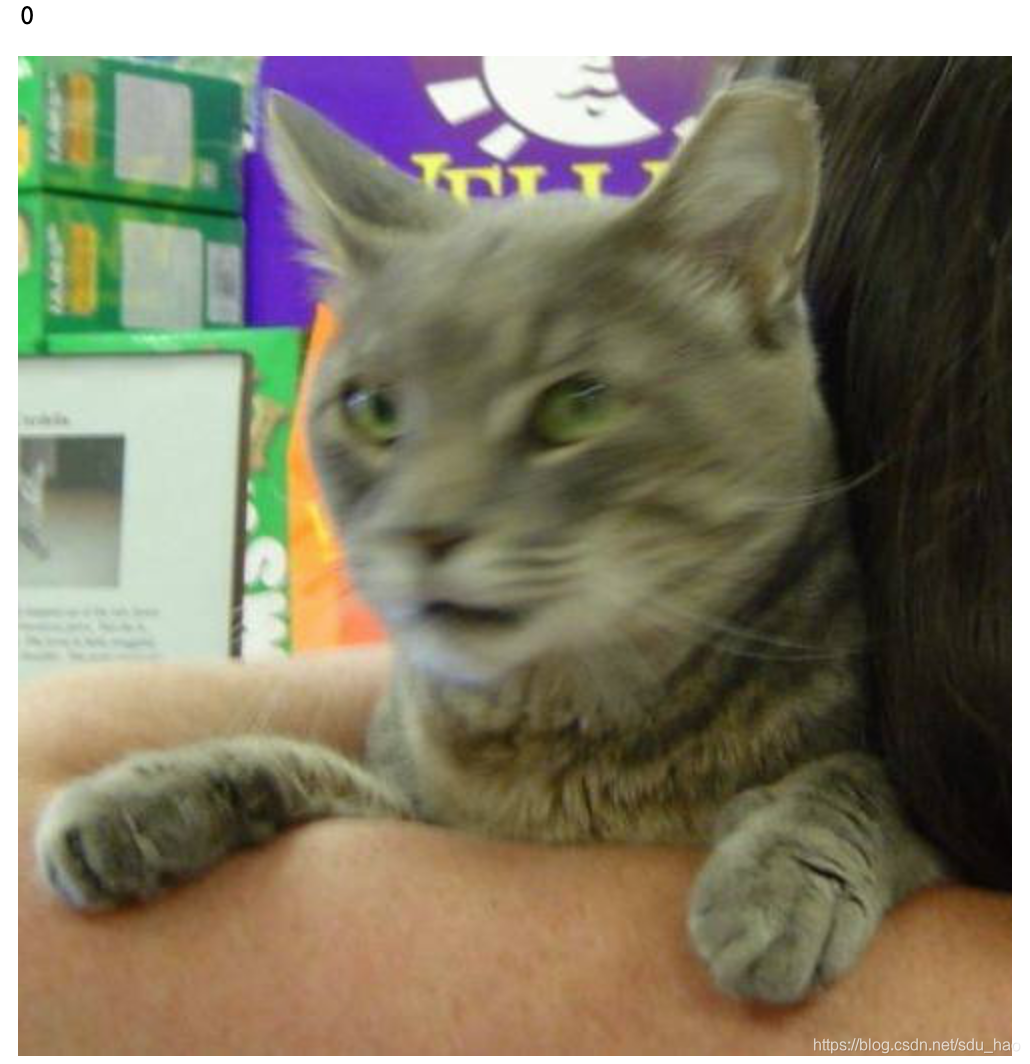 Pytorch从入门到实践 5 Pytorch常用工具from Torchvisiondatasets Import Mnist Cifar10 I Csdn博客