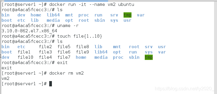 Docker镜像的分层结构介绍以及镜像的创建(docker Commit与dockerfile) Docker History镜像分层结构 Csdn博客