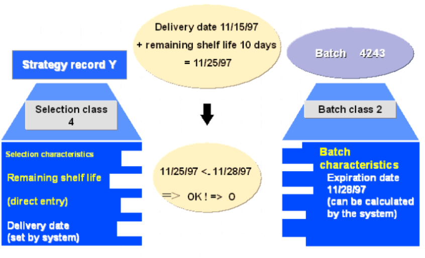 【MM模块】Batch 批次管理 2_msc2n-CSDN博客