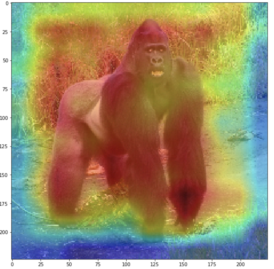 Pytorch 1.01 Grad-CAM实现CNN可视化 与 原理 热力图_python cnn特征热力图-CSDN博客
