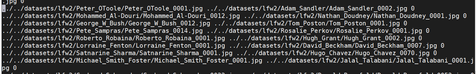 insightface数据制作全过程记录_lfwnd-CSDN博客