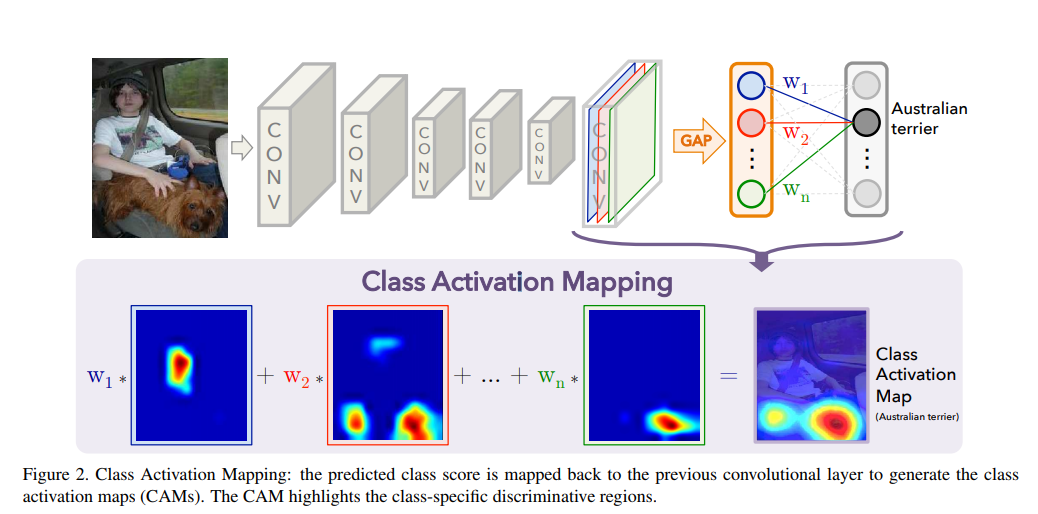 Ideas For Weakly Supervised Object Localization_A_bigUncle的博客-CSDN博客