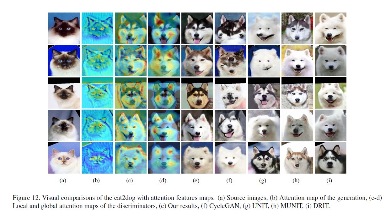 U-GAT-IT: Unsupervised Generative Attentional Networks with Adaptive Layer-Instance ...