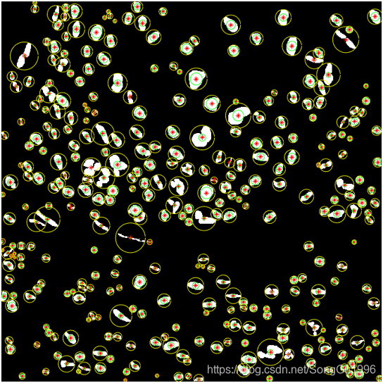 细胞形态特征(matlab实现)matlab的centroids Csdn博客